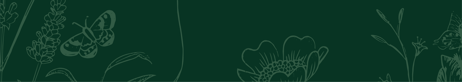 Bea Colette | European-Inspired Children's Boutique